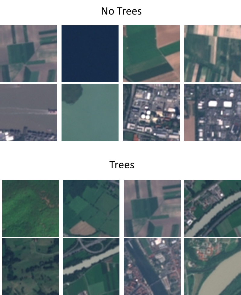GitHub - ehardwick2/Satellite_Image_Classification: Using convolutional neural networks (CNN) to ...