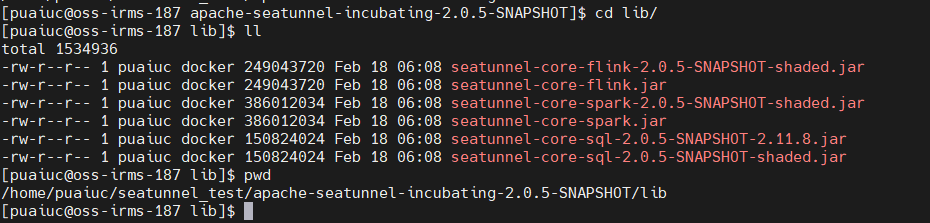 org.apache.flink.client.program.ProgramInvocationException · Issue #1535 · apache/seatunnel · GitHub
