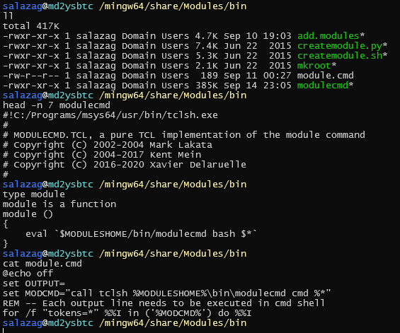 Working in msys2/mingw64 · Issue #360 · envmodules/modules · GitHub