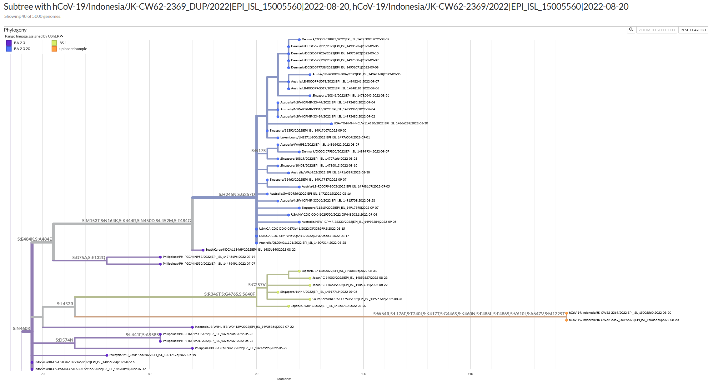 Potential BA.2.3 sublineage with many mutations (singleton, Indonesia ...
