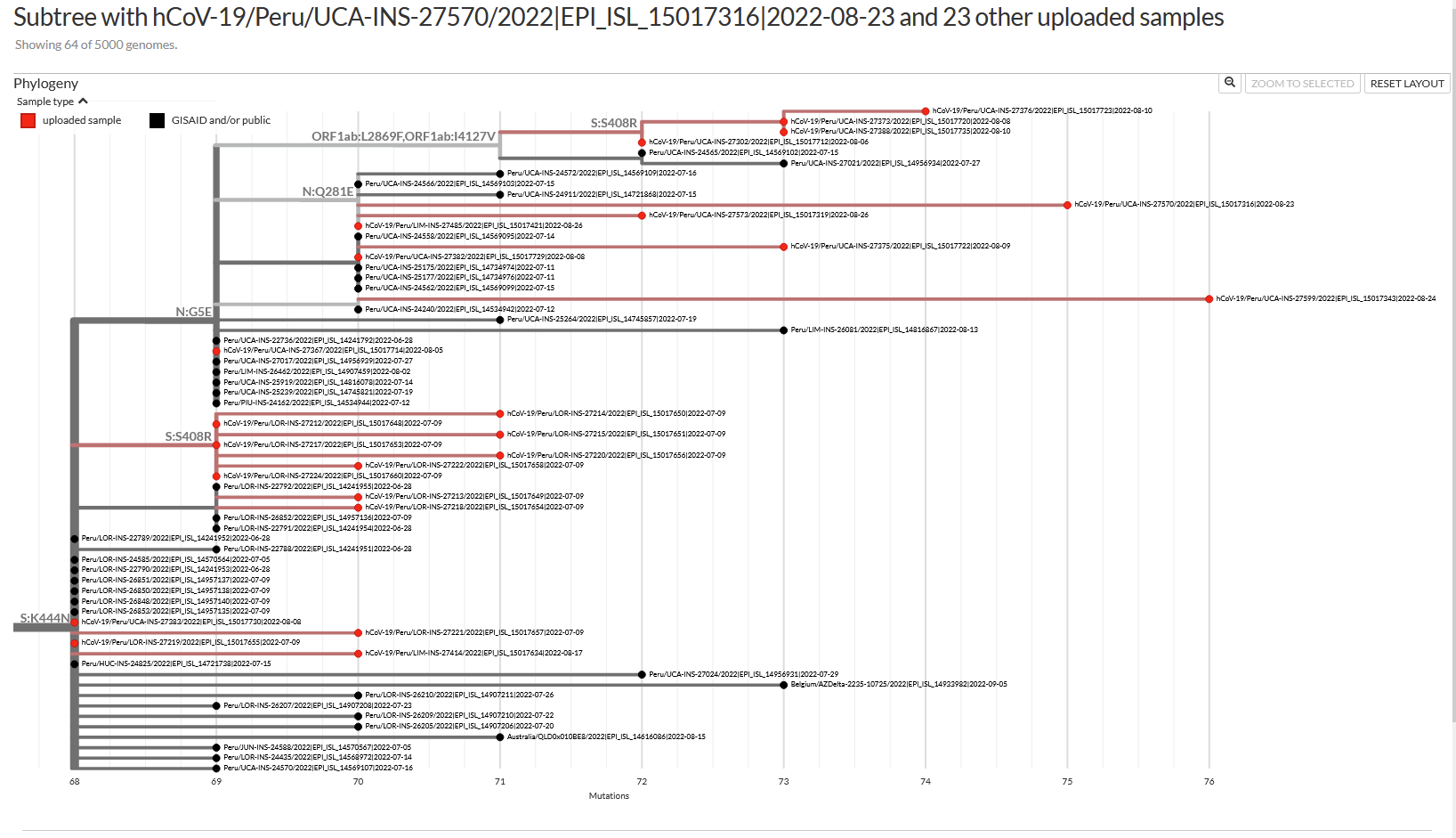 BA.5.1 with S:K444N, ORF7b:H42Y (88 seq., mostly Peru, Australia, Belgium, Chile, Colombia as of ...