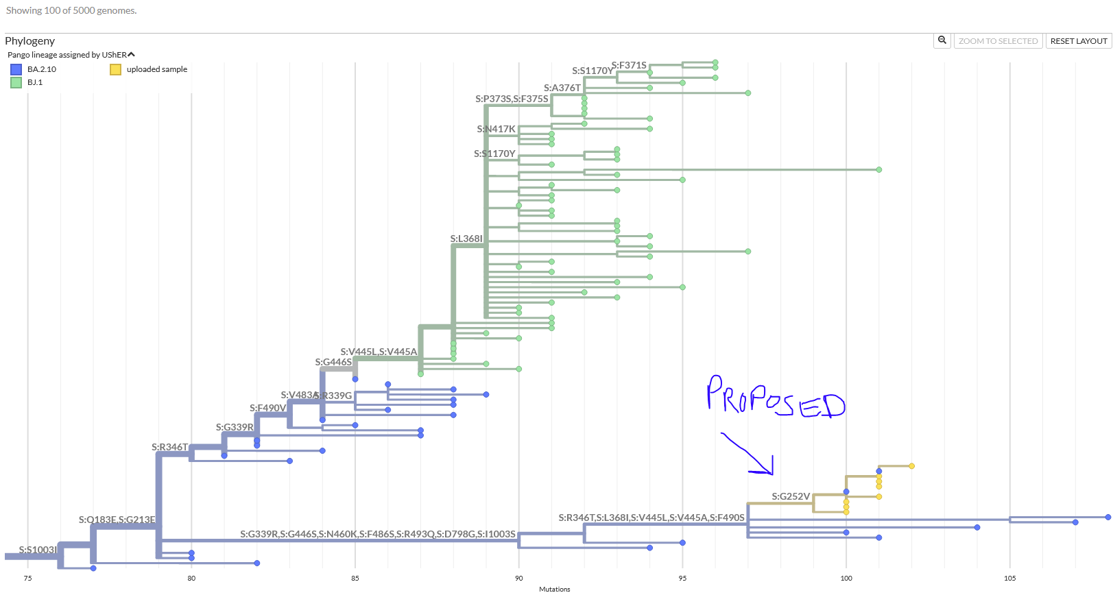 XBB sublineage with S:G252V (85 seq. Singapore, Bangladesh, Denmark, UK ...