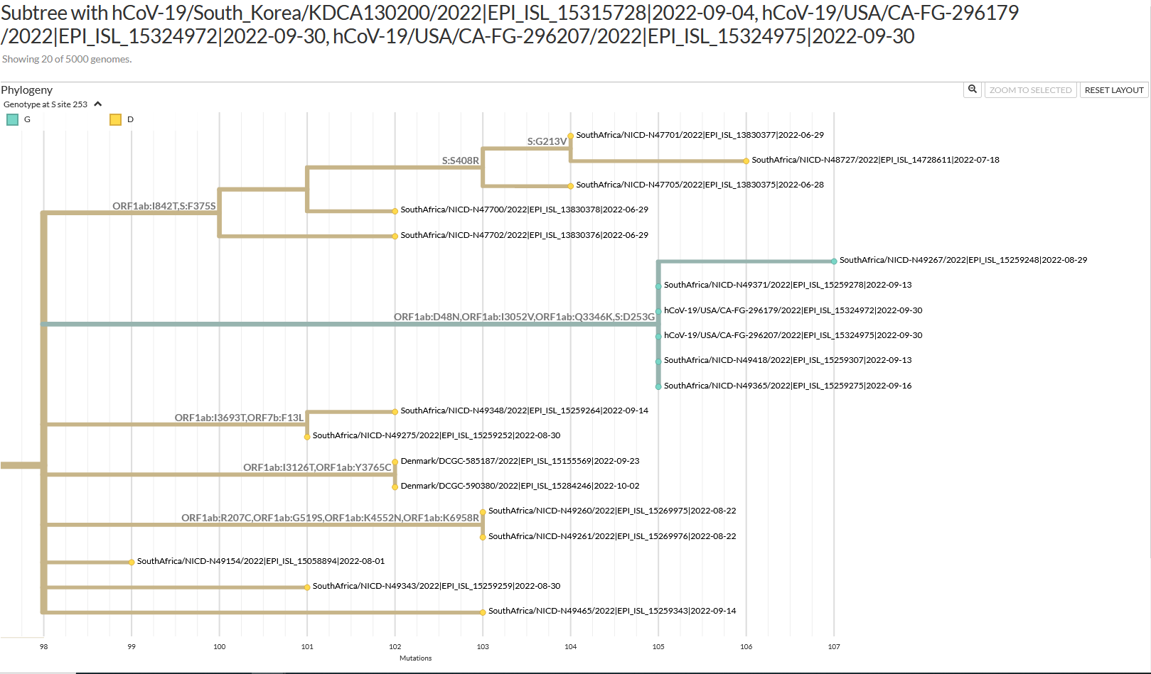 XAY sublineage with S:D253G (6 seq., South Africa, USA) · Issue #1208 ...