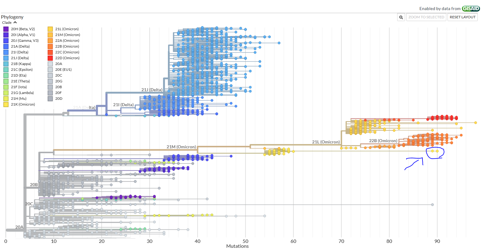 BA.1.17.2 with ~28 mutations, only 2 Spike AA substitutions, all mutations C->T or G-> A (2 seq ...