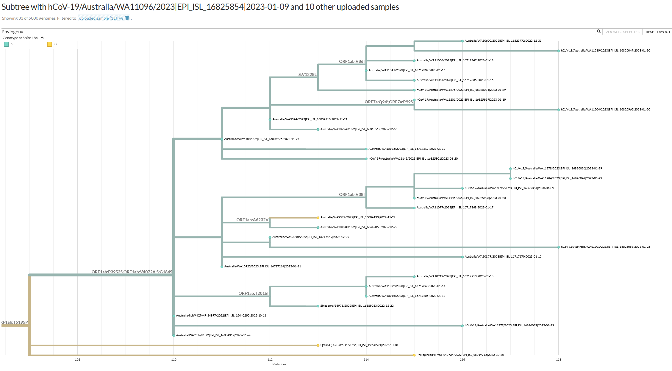 XBC.1 with S:G184S, ORF1a:P3952S, ORF1a:V4072A (42 seq., Australia, Singapore) · Issue #1622 ...
