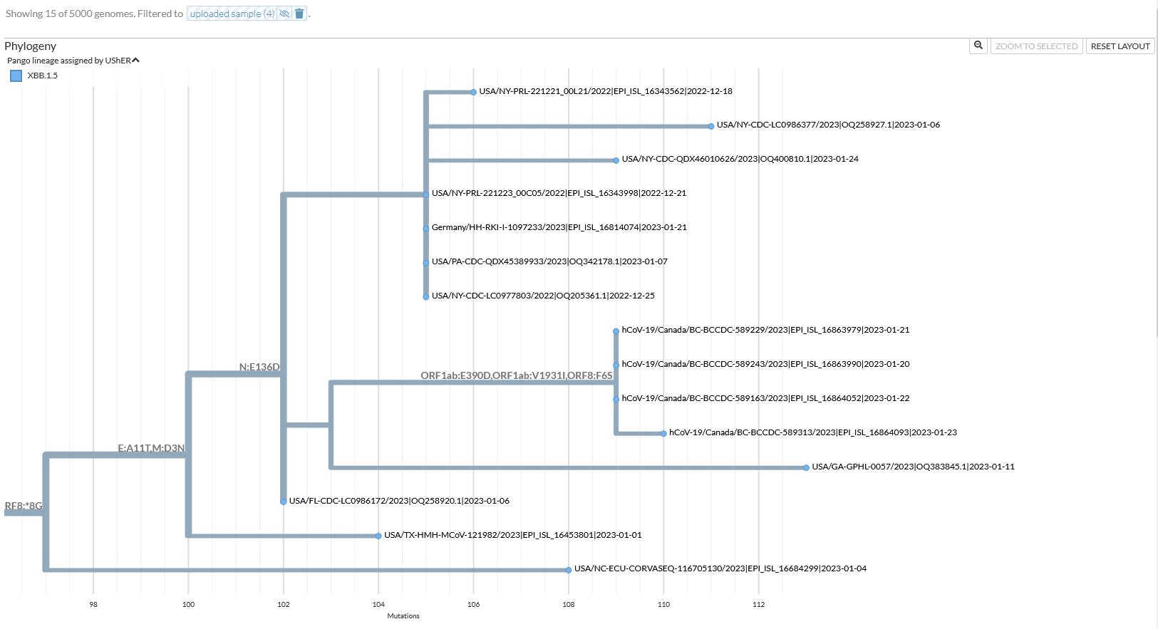 Potential XBB.1.5/BQ.1.14 recombinant (20 sequences as of 2023-03-17) · Issue #1505 · cov ...