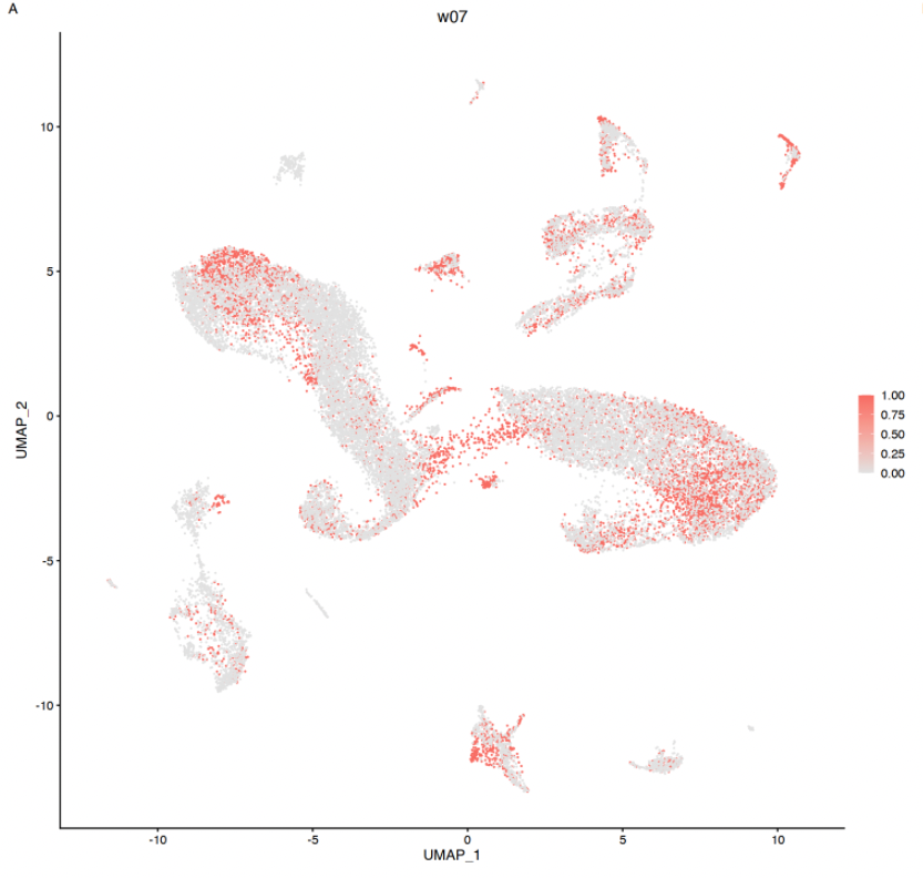 Featureplot Doesnt Work With Discrete Metadata Columns · Issue 5782