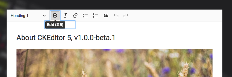 Disable buttons outline by default · Issue #3403 · ckeditor/ckeditor5 · GitHub