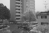 incorrect white balance · Issue #229 · LibRaw/LibRaw · GitHub