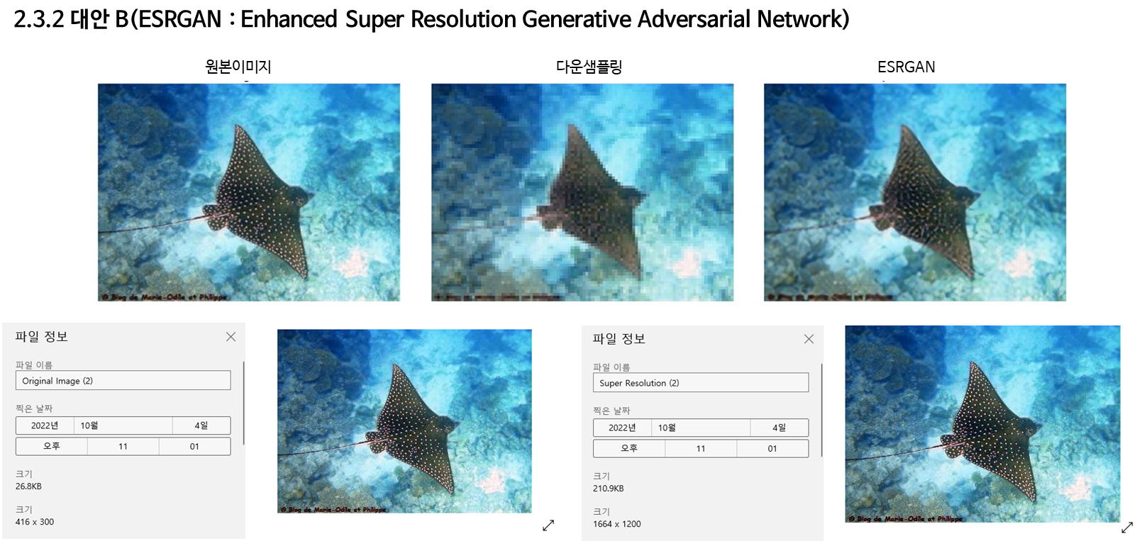 Github Jungseunggi Underwater Object Detection