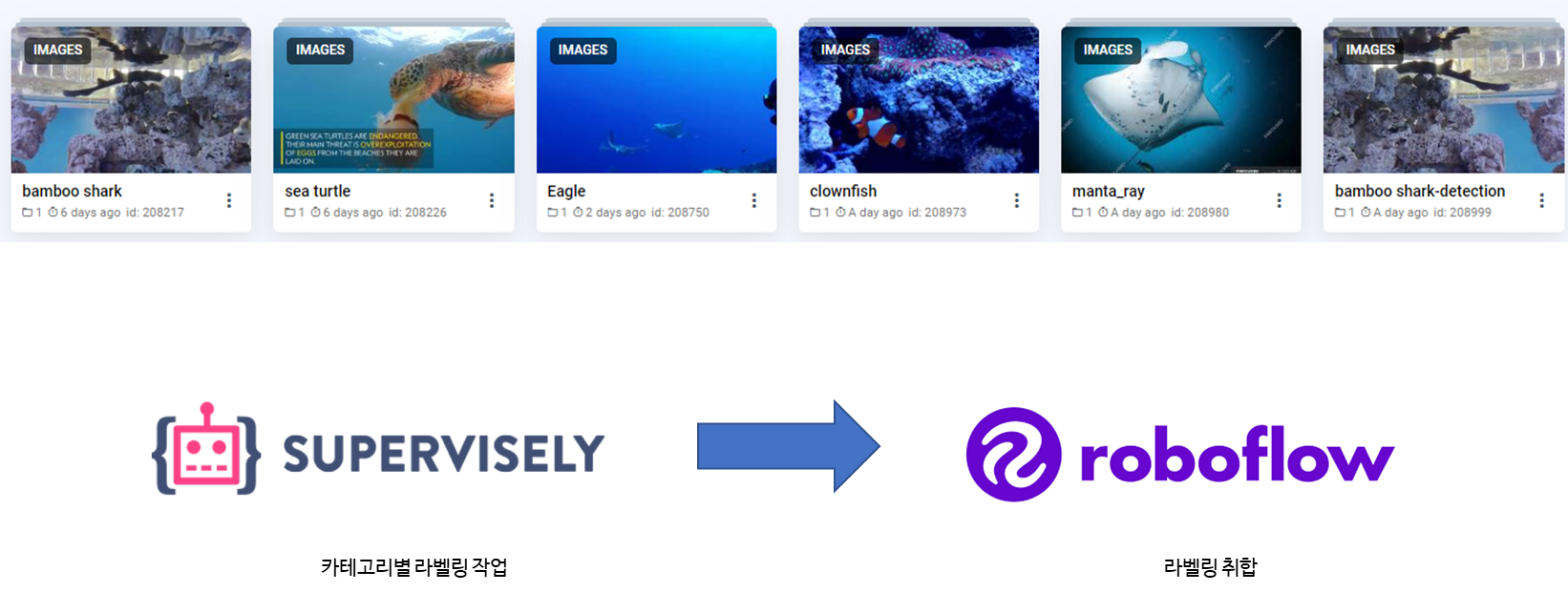 Github Jungseunggi Underwater Object Detection