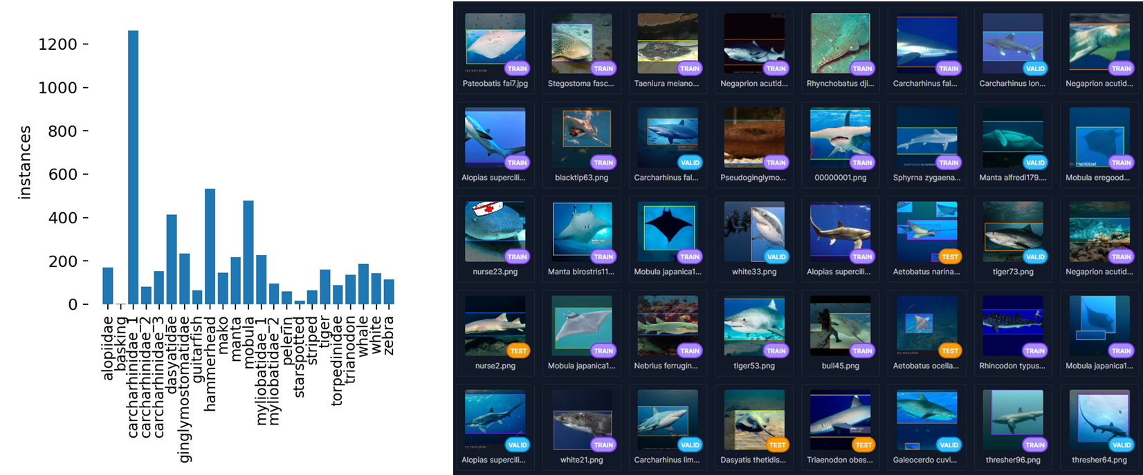 Github Jungseunggi Underwater Object Detection