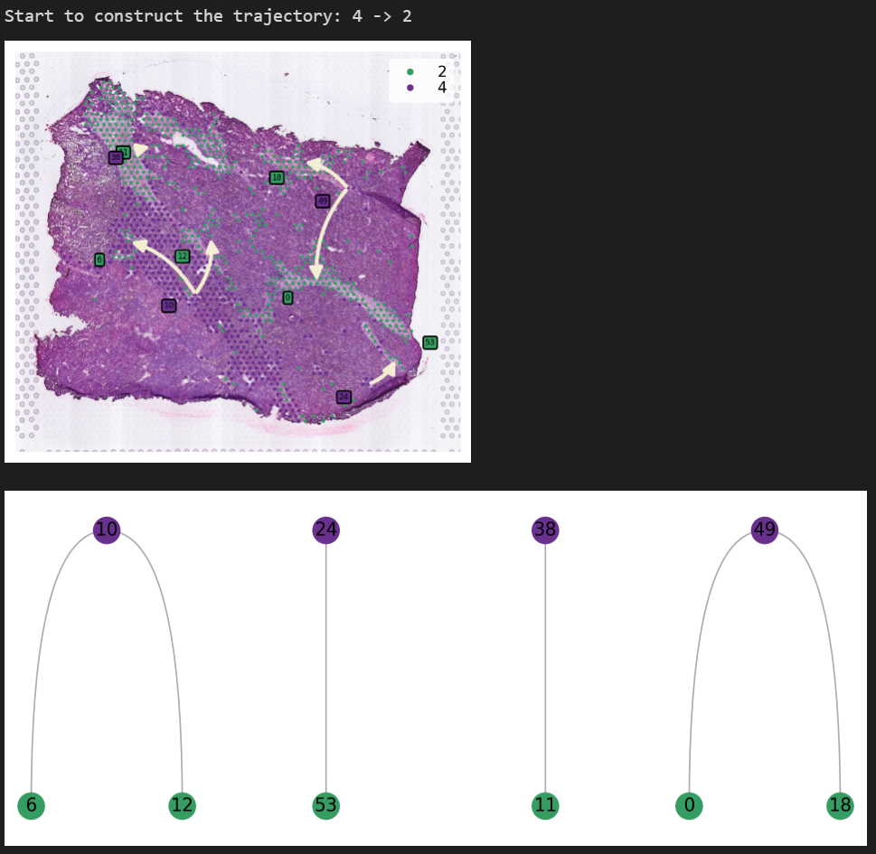 st.pl.trajectory.tree_plot not show cropped image for each node · Issue #216 ...