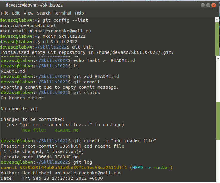 GitHub - HackMichael/Skills2022