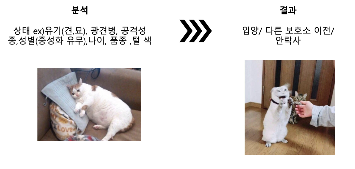 GitHub - jihye201/AI_13_Section3_project