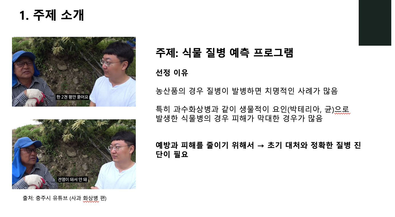 GitHub - jihye201/AI_13_Section4_Project