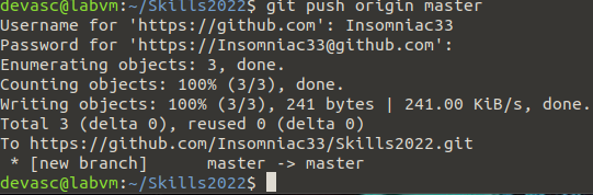 GitHub - Insomniac33/Skills2022