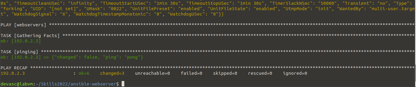 GitHub - Insomniac33/Skills2022