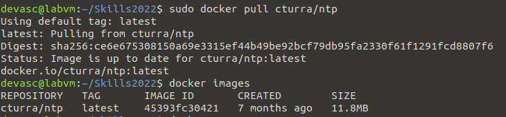 GitHub - Insomniac33/Skills2022