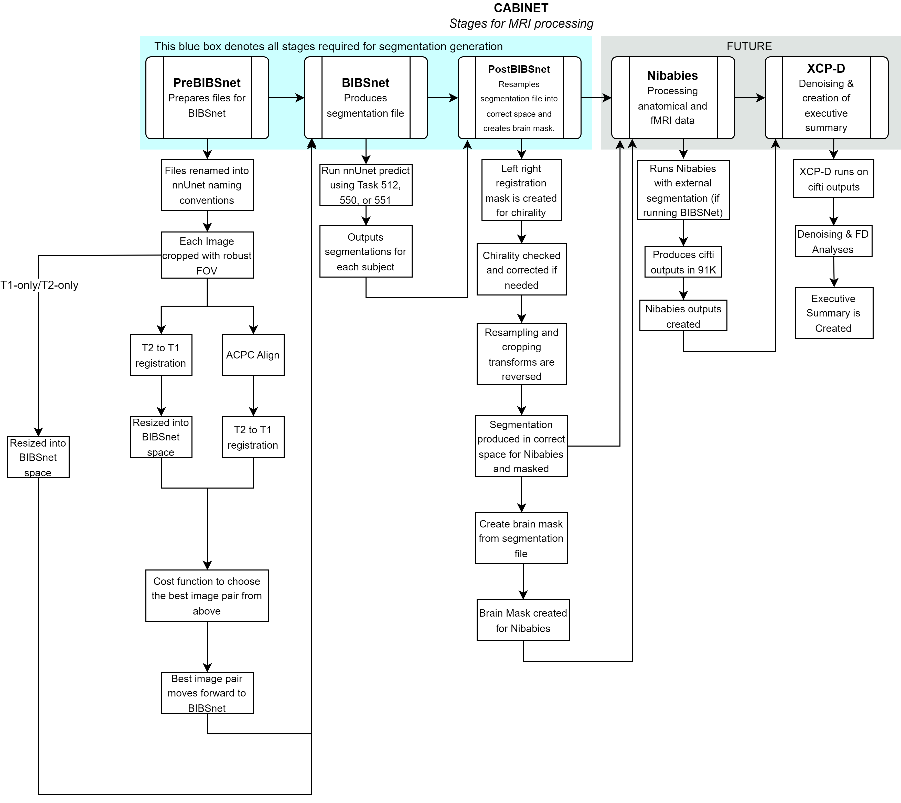 GitHub - DCAN-Labs/CABINET: This BIDS App provides the utility of creating a nnU-Net anatomical ...