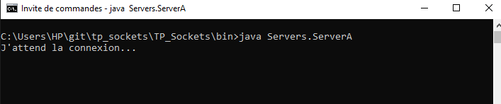 GitHub - Nassim-JEDDI/TP_SOCKETS