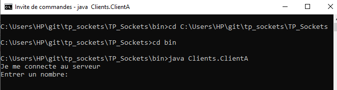 GitHub - Nassim-JEDDI/TP_SOCKETS
