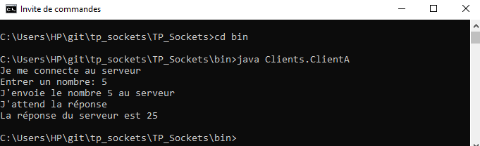 GitHub - Nassim-JEDDI/TP_SOCKETS