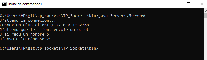 GitHub - Nassim-JEDDI/TP_SOCKETS