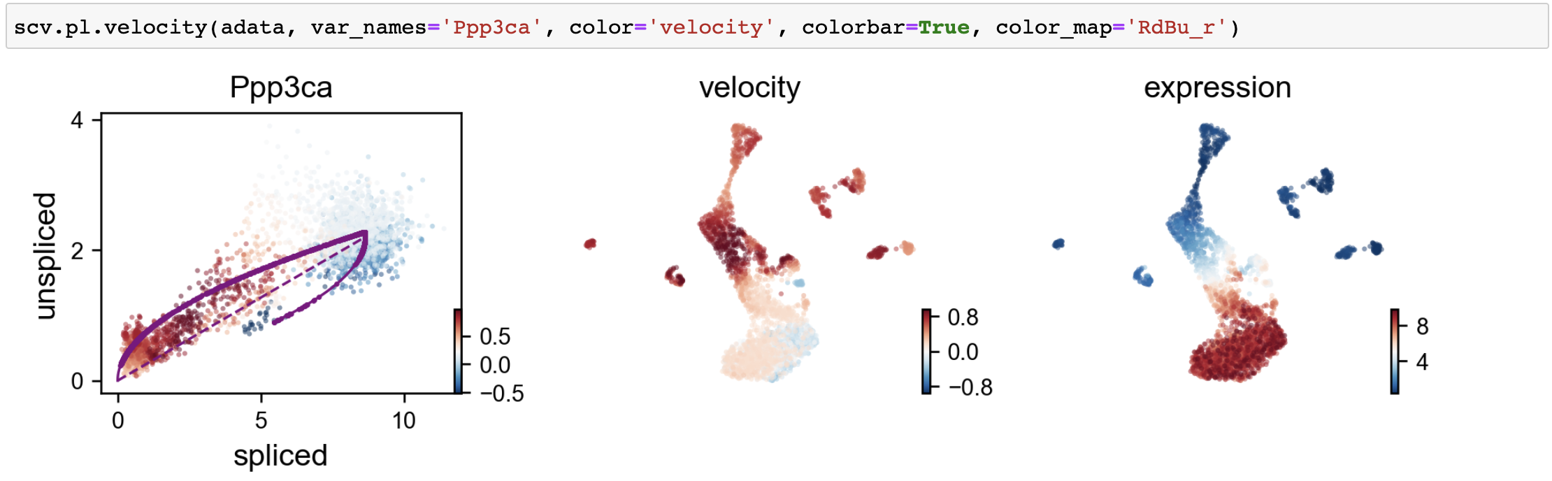 Coloring phase portait with velocities · Issue #147 · theislab/scvelo · GitHub