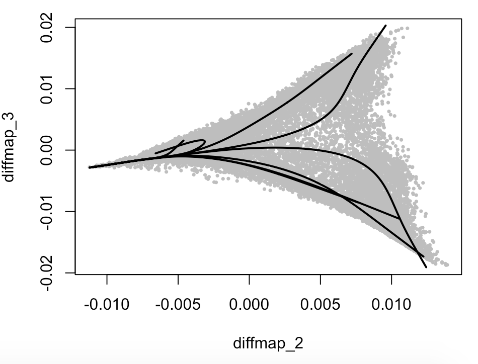 Lineages vs. Curves · Issue #115 · kstreet13/slingshot · GitHub