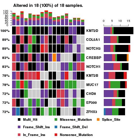 oncoplot colbar plot y axis higher than 100 · Issue #291 · PoisonAlien/maftools · GitHub
