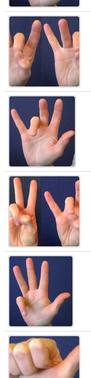 Display of handshape images has changed · Issue #551 · Signbank/Global ...