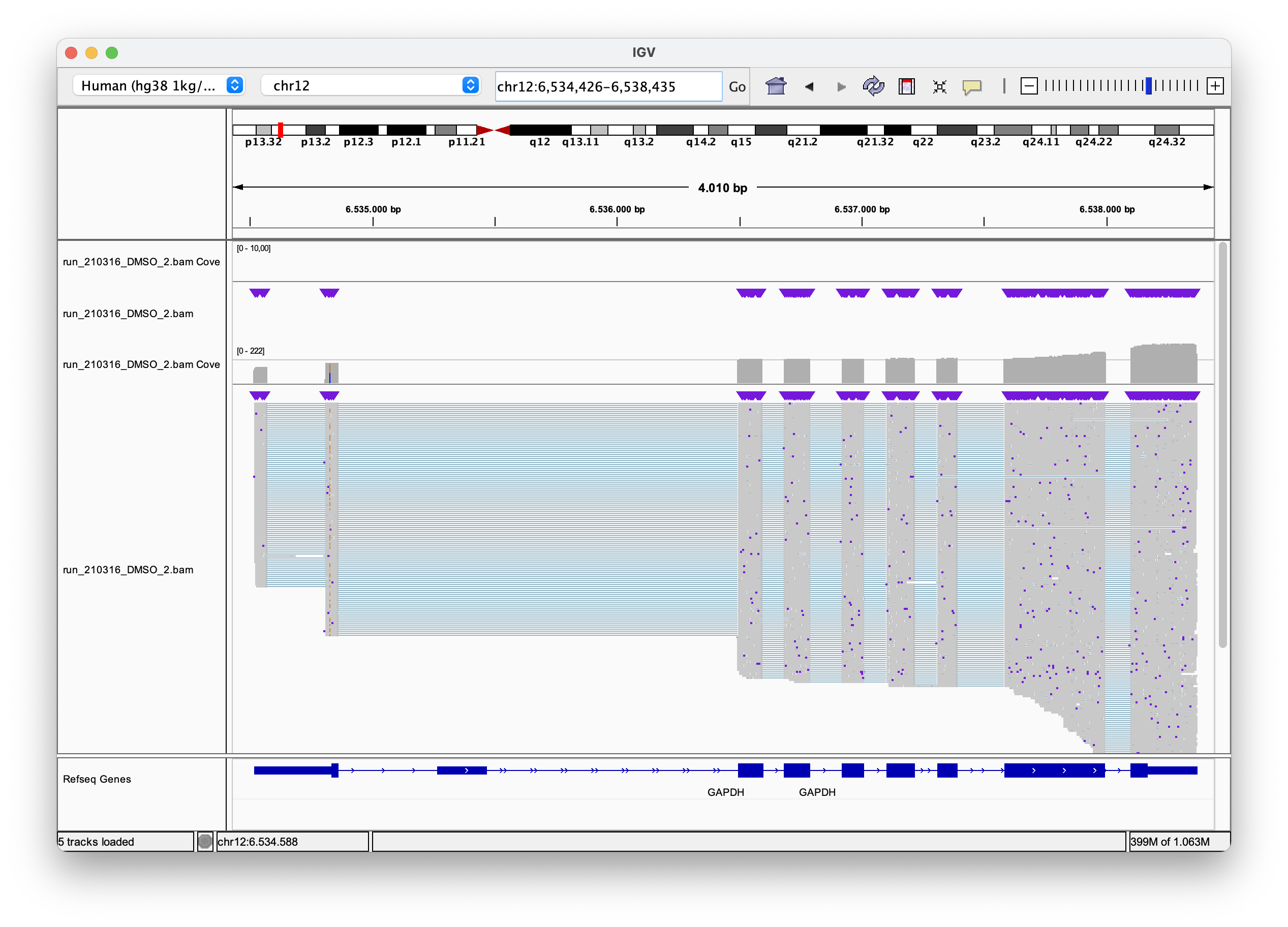 BAM index files without content · Issue #1021 · igvteam/igv · GitHub