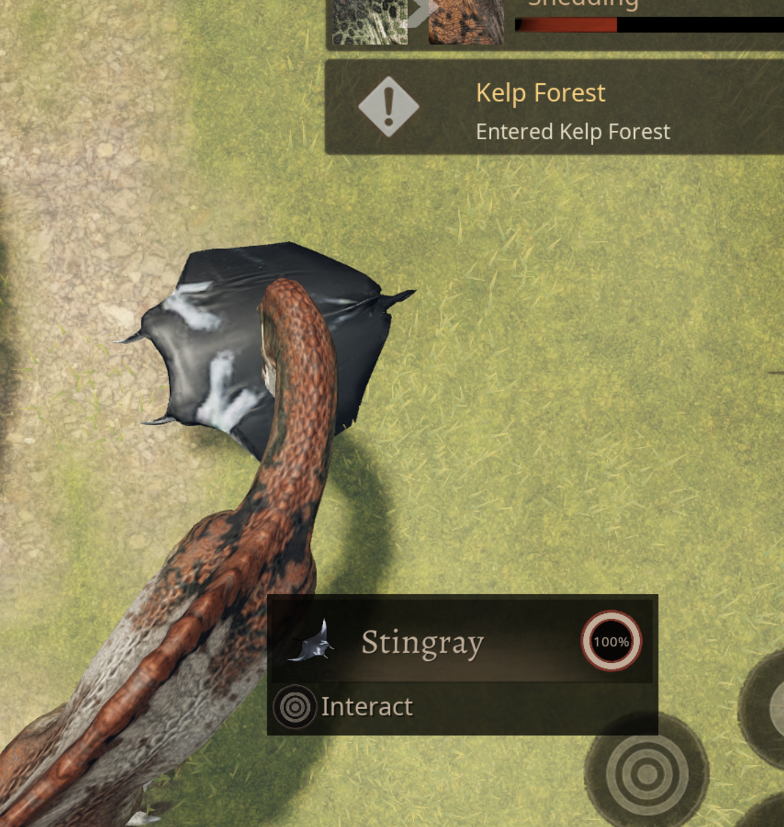 Incorrect name for “stingray” · Issue #11084 · Alderon-Games/pathoftitans-bugs · GitHub