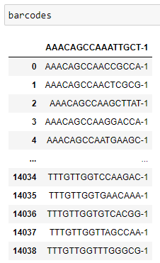 Souporcell (no output in clusters.tsv, clusters_tmp.tsv, and log.tsv) - thread 'main' panicked ...