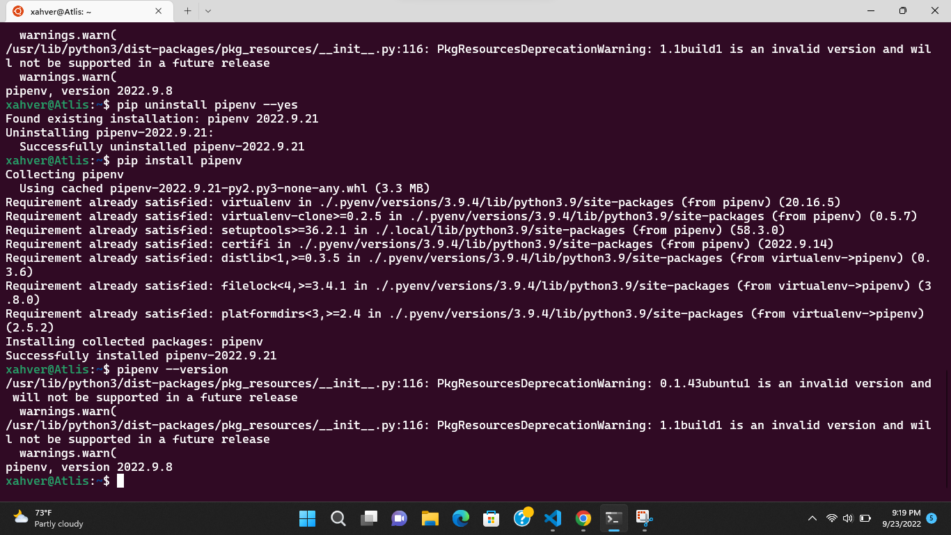 Pipenv error · Issue #5375 · pypa/pipenv · GitHub