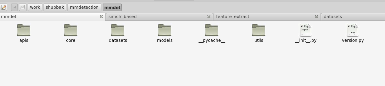 [Bug] failed to inherit some feature between repository of open-mmlab such as get_model · Issue ...