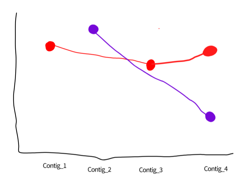 Mosdepth Coverage per Contig Plot Design/Axis Labels · Issue #1568 · MultiQC/MultiQC · GitHub