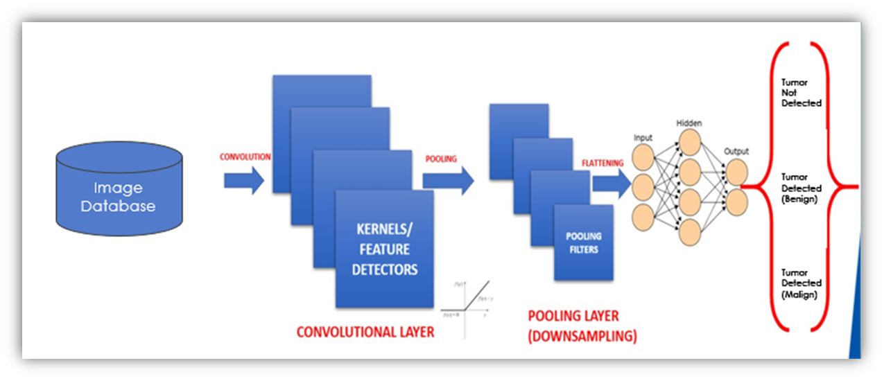 GitHub - SDAllouche/brain-tumor-detection GitHub - SDAllouche/brain-tumor-detection