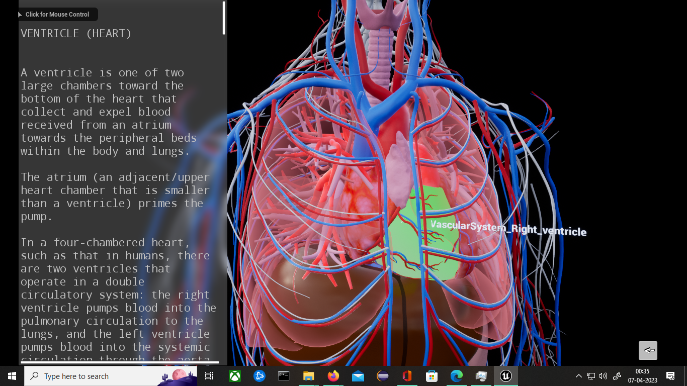 GitHub - SubhajitGuha/vr_Simulation: Anatomy project