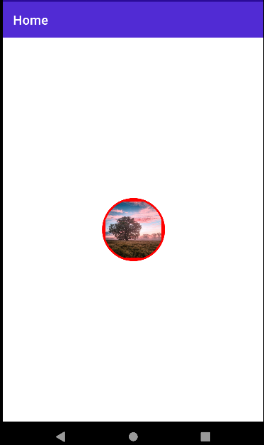 Image Clipping Issues In Border · Issue 7460 · Dotnetmaui · Github