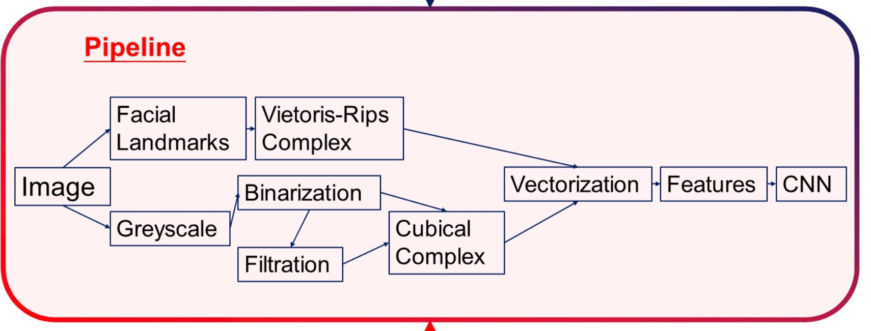 GitHub - Yuhan0524/TDA_Facial_Expression_Recognition: Supplement for ...