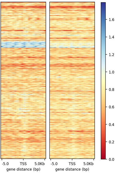heatmap - name and position of gene of itnerest · Issue #1133 · deeptools/deepTools · GitHub