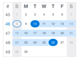 Calendar circles are not round with Safari · Issue #194 ...
