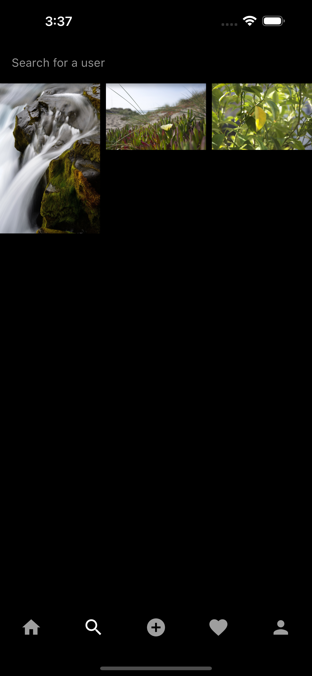 GitHub - iamyoungk/flutter-instagram