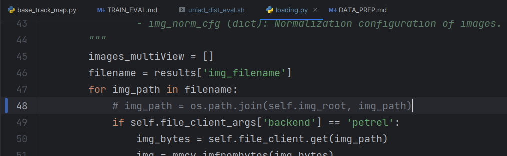 failed to eval: img path does not insist · Issue #119 · OpenDriveLab ...