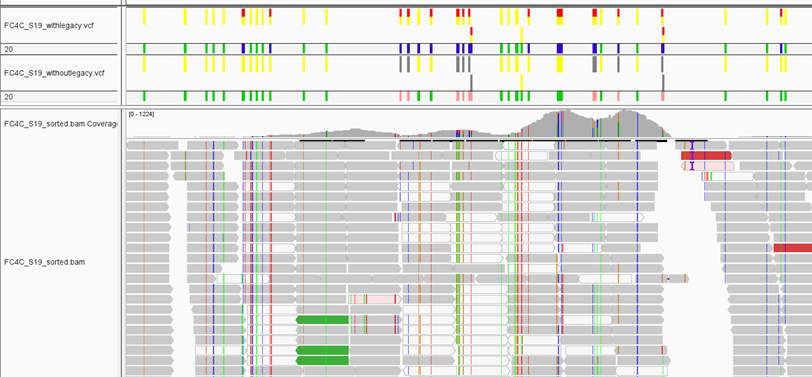 Freebayes calling ALT/REF heterozygous variants as REF/REF homozygous · Issue #735 · freebayes ...