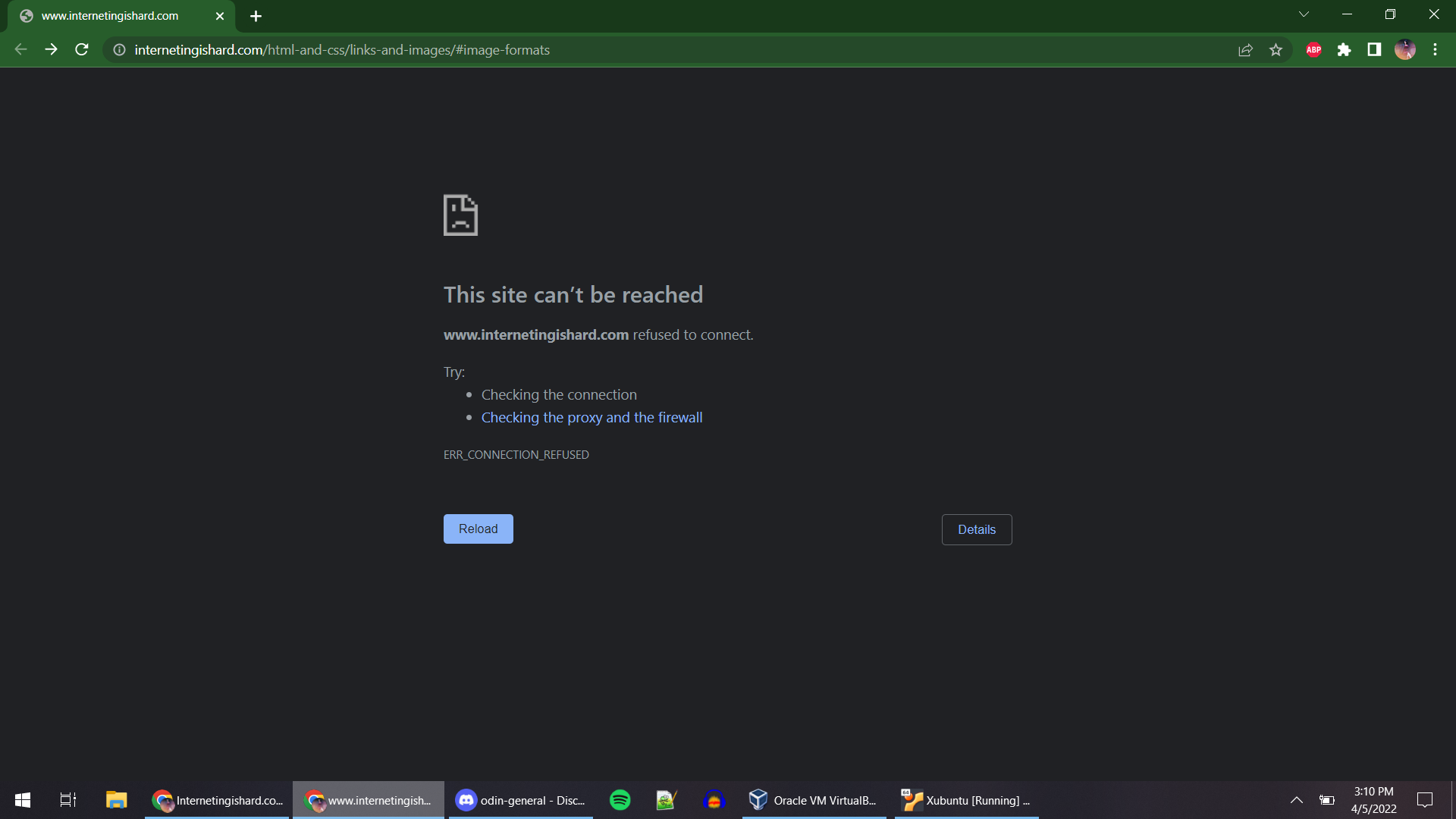 Bug - HTML Foundations, Links & Images: Assignment Link 4 Dead · Issue #23981 · TheOdinProject ...