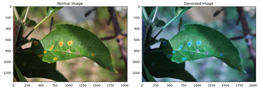 Github Hanabedda Apple Leaf Diseases Detection This Project Focuses