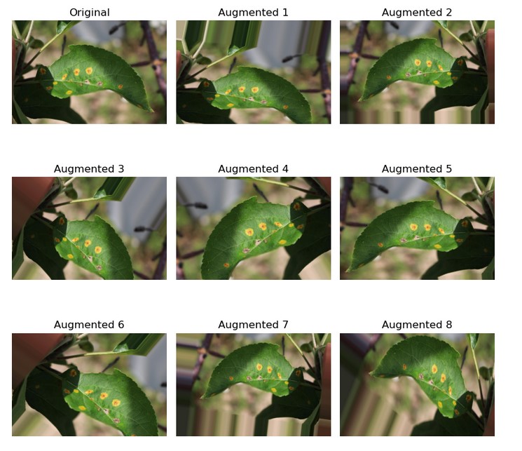 GitHub - hanaBEDDA/Apple-leaf-diseases-detection: This project focuses on leveraging the power ...